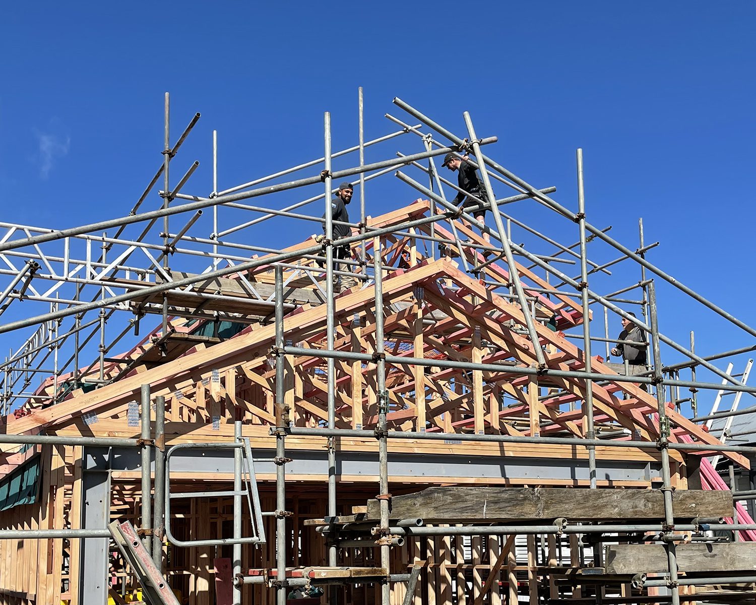 House Building Companies Rodney, House Construction North Shore